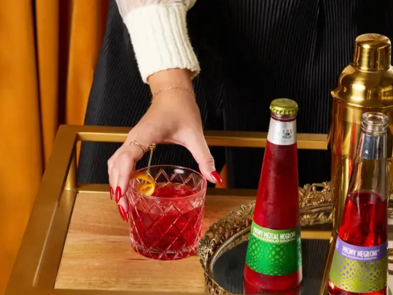 Negroni Cocktail Kit Essentials At Home | St. Agrestis – St. Agrestis